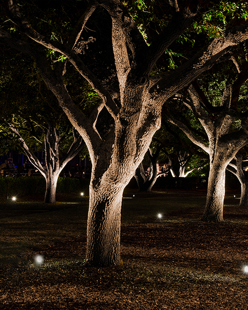 WAC Landscape Buying Guide | CanadaLightingExperts